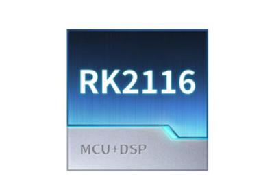 China RK2116G AI Processor Chip with Dual-Core HiFi4 DSP RISC-V up to 300MHz and 16MB PSRAM for sale