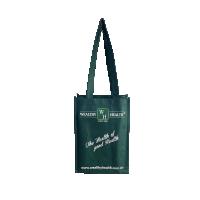 China Cardboard Gift Packaging Shopping Bag 100gsm 210gsm With Handle for sale