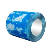 China Cold Rolled PPGI Galvanized Steel Coil Color Coated Az60 Grass Brick Flower Color Coated for sale