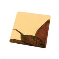 China Cold Rolled Stainless Steel Plate Sheet 201 304 Golden Color Mirror 8K Decorative for sale