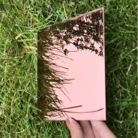 China 8K Decorative Stainless Steel Sheet Plate 316 316L Gold Color Mirror 2000mm for sale