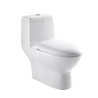 China 1 Piece Dual Flush Toilet Elongated Bowl 0.8/1.2 GPF Soft Closed Seat for sale