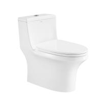 China Compact One Piece Toilets Dual Flush 0.8gpf Elongated Bowl 5 Liters for sale