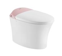 China ARROW Brand One-piece Electronic Smart Toilet with Siphon Jet Flushing, Buttocks Washing, and Self-cleaning Smooth Glaze for sale