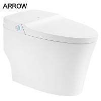 China ARROW Modern Smart Toilet with Heated Seat Nozzle Self-cleaning and Remote Control Intelligent Bidet Toilet for sale