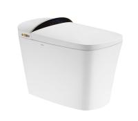 China Arrow Brand Modern Smart Toilet with Concealed Tank Automatic Operation and Soft Close Bidet for sale