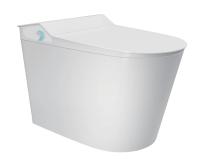 China Arrow Brand Ceramic Modern Concealed Tank Intelligent Smart Toilet with Soft Close for Bathroom Floor Mounted Installation for sale