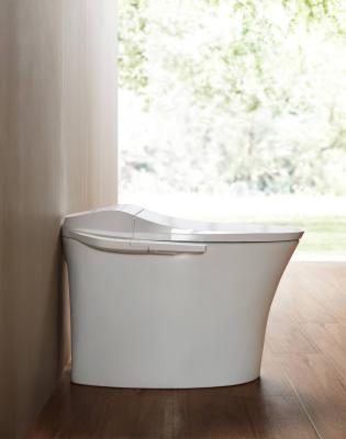 China Arrow Brand Ceramic Smart Toilet with Concealed Tank and 2 Year Warranty for Modern Bathrooms for sale