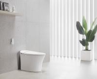China Arrow Remote Control Modern Ceramic Smart Toilet Bidet with Concealed Tank for Bathroom for sale