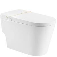 China Arrow Automatic Operation Soft Close Smart Toilet with Concealed Tank Intelligent Modern Toilet for sale