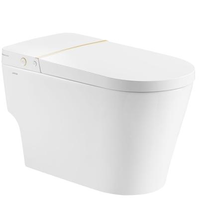 China Arrow Automatic Operation Soft Close Smart Toilet with Concealed Tank Intelligent Modern Toilet for sale