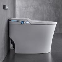 China ARROW Intelligent Bidet Toilet with Self-cleaning Glazed Ceramic and Siphon Jet Flushing in One Piece Modern Design for sale
