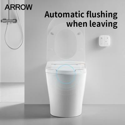 China ARROW ST-8010 Spa-Therapy Smart Bidet Toilet | 5-Mode Massage Wash, Aromatherapy Diffuser & Chromotherapy Night Light for Home Wellness for sale