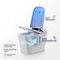 China ARROW AM3001 Automatic Smart Bidet Seat Temp Memory Auto Deodorization Warm Air Dryer One Piece WC for sale