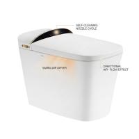 China ARROW AT5006 Professional Smart Toilet 3-Level Seat Heating Self-cleaning Nozzle Warm Air Dryer Commercial Grade for sale