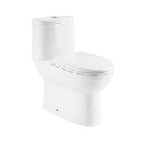 China ARROW Washdown 1 One Piece Round Toilet Dual Flush Comfort Height for sale