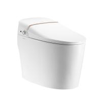 China Air Dry Functional Modern Smart Toilet , Siphonic Self Heating Toilet Seat for sale