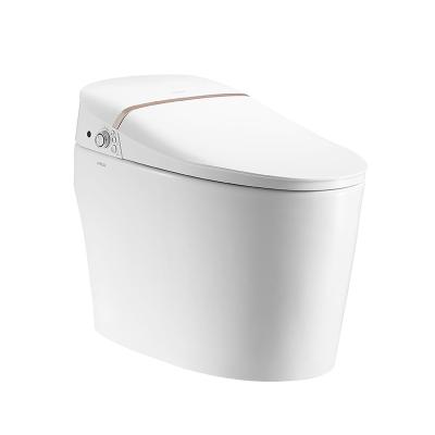 China Air Dry Functional Modern Smart Toilet , Siphonic Self Heating Toilet Seat for sale