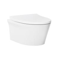 China ARROW AB2175H Wall Hung Toilet , Sanitary Wash Down Type Water Closet for sale