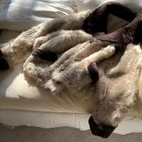 China Artistic Persian Lamb Faux Fur Two-Color Jacket for sale