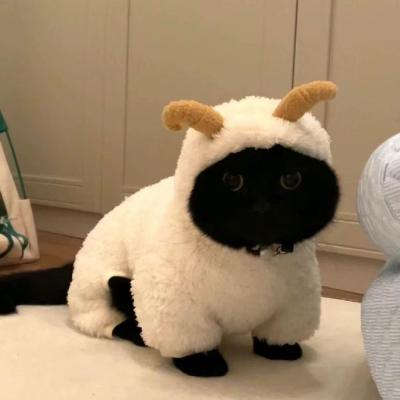 China Cute Cat Clothing Thick Plush Four Legged Pet Faux Lamb Fur Clothing for sale