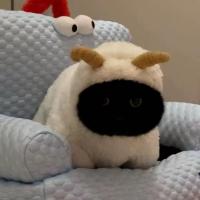 China Cute Cat Clothing Thick Plush Four Legged Pet Faux Lamb Fur Clothing for sale