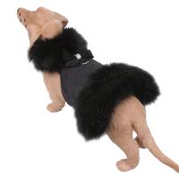 China Platinum Glitzerati Bow Soft Silver Faux Suede Faux Fox Fur Dog Coat for sale