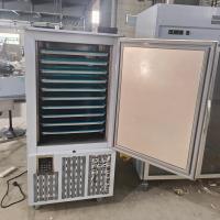 China Cold Room Blast Freezer Machine 10 Trays for Meat Fish Lobster for sale