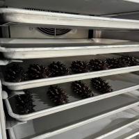 China Gelato Seafood Blast Freezer Short Blast Deep Freezer Machine 10 Layers for sale