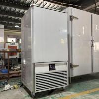 China Frozen Chicken Fish Tunnel Blast Freezer Machine For Ice Cream for sale