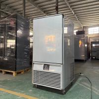 China Frozen Chicken Fish Tunnel Blast Freezer Machine For Ice Cream for sale