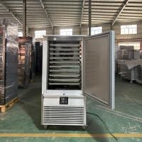 China Frozen Chicken Fish Tunnel Blast Freezer Machine For Ice Cream for sale