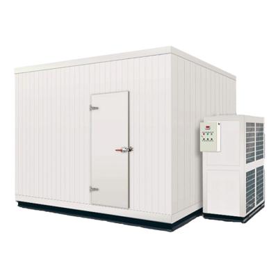 China Walk in Deep Freezer Chiller Cold Room for Meat Food Seafood for sale