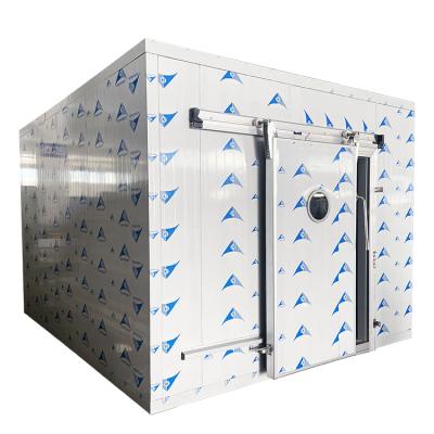 China Easy Installation Cold Storage Room Walk in Cooler Freezer 220V 380V for sale
