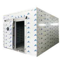 China R404a R410a Walk In Cold Room High Efficiency Blast Freezing for sale