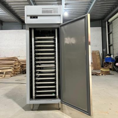 China Stainless Steel Baking Tray Freezer 1 Door Upright Air-Cooled Refrigerator with Trays for sale