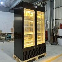 China Steak Age Meat Maturing Fridge Dry Aging Machine 2 Doors for sale