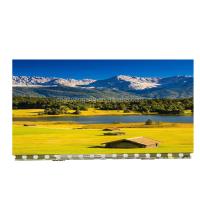 China AUO T650QVR05.6 65-inch UHD LCD Panel Open Cell 3840x2160 Resolution 4000:1 Contrast Ratio for sale