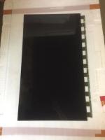 China PANDA CC500PV6D 50 Inch 3840x2160 UHD LCD Panel with 6000:1 Contrast Ratio for TV Replacement for sale