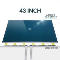 China LG 49 Inch TV Display Panel with 60Hz Refresh Rate and IPS Technology TFT Panel for sale