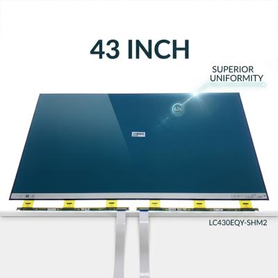 China LG 49 Inch TV Display Panel with 60Hz Refresh Rate and IPS Technology TFT Panel for sale