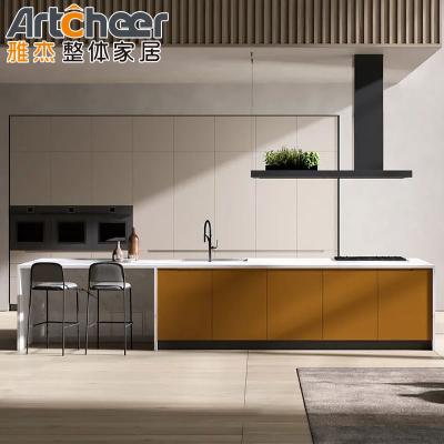China Modern Design Plywood Door Cabinets Perfect Combination For Kitchen for sale