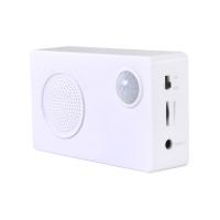 China shelf talker with Audio motion sensor welcome sound player for shop for sale