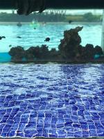 China Blue And Green Color Ceramic Mosaic 48X48CM For Swimming Pool for sale