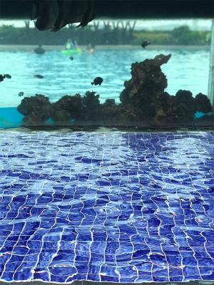 China Blue And Green Color Ceramic Mosaic 48X48CM For Swimming Pool for sale