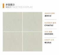 China Rustic Tile and Matt Glazed Porcelain Tile 600x600mm，24'x24' for sale