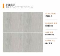 China 600x600mm Full Body Rustic Porcelain Tile Outdoor Non Slip Frost Resistant Floor Tile for sale
