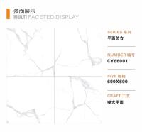 China Home Decorative Non-Slip Rustic Porcelain Floor Tile in size 600x600mm for sale