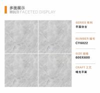 China Light Grey Rustic Porcelain Tile Matte Glazed Floor Tile For House And Hotel Decoration for sale