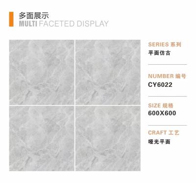 China Light Grey Rustic Porcelain Tile Matte Glazed Floor Tile For House And Hotel Decoration for sale